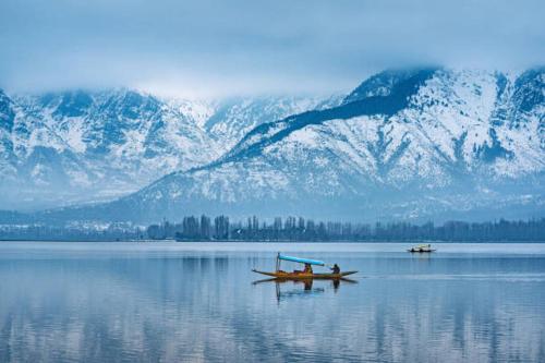 Moonlight Homestay - Srinagar
