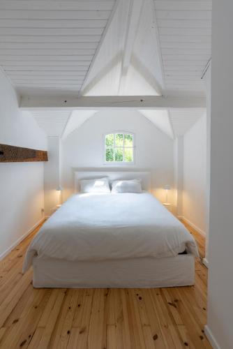 Moulin De Cazaux-saves - Samatan