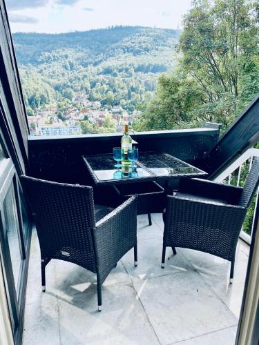 Penthouse Overlooking The Neckar - Heidelberg