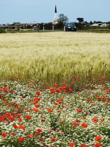 Petite maison dans le jardin - Location saisonnière, 23 Rue de ...