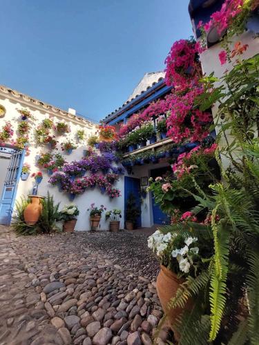 Tu Casa En Cordoba Facil Aparcamiento - Córdoba