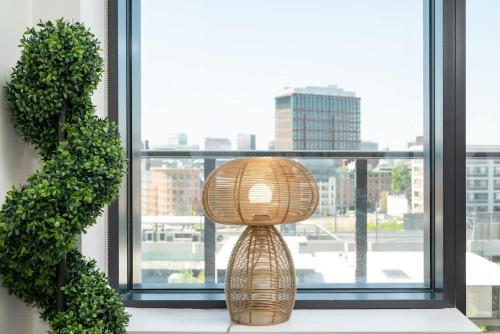 Luxury Apartment W King Bed Shared Pool & Rooftop - Cambridge, MA