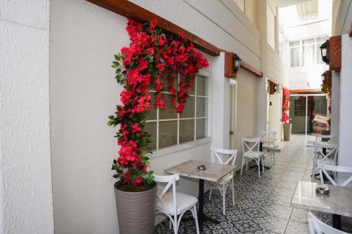 Pruva Inn Hotel - Antalya