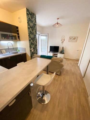 Appartement 2 Pieces Proche Paris Et Orly - Choisy-le-Roi