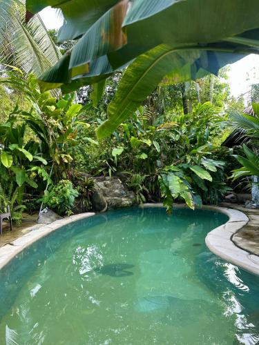 Conga Boutique Hotel - 