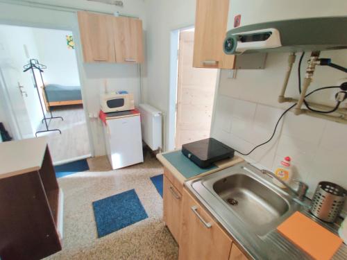 Apartment In House With Private Parking And Garden - Praga