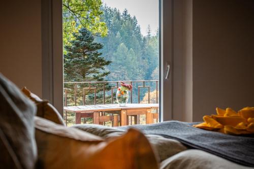 Haus Rauszeit - Harz