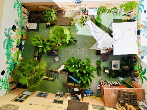 Jungle House - Las Palmas