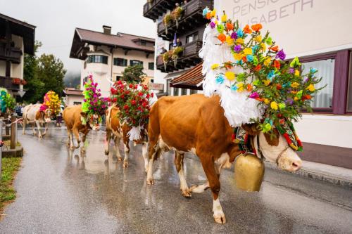 Apartment Hornblick - Kirchberg in Tirol
