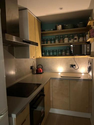 Artist Colony Cottage With Sauna And Private Garden, And Easy Walk To City Centre - Edinburgh