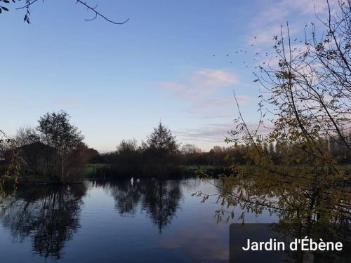 Jardin D'ebene - Montoire-sur-le-Loir