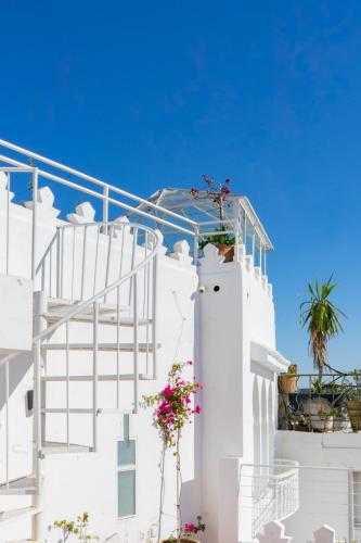 Absinthe Tangier - Tangier, Morocco