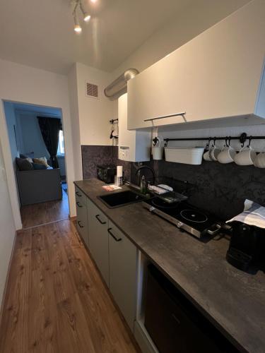 Altstadt Apartment Bautzen - Bautzen