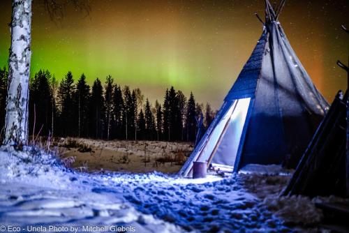Experience Accommadation Eco-unela - Rovaniemi