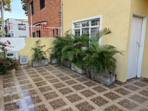 Hostal El Cedro - Cali