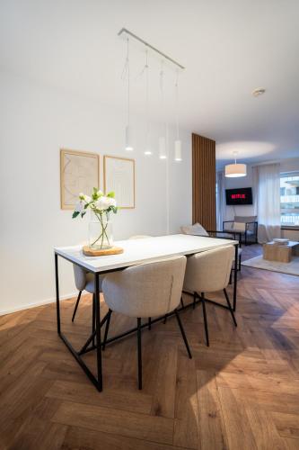 1 Br Studio - Zentral - Terrasse - Kuche - Wifi - Business - Ruhig - Wiesbaden
