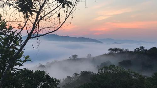 The Apiary Mountain Camp And Farm - Tanay