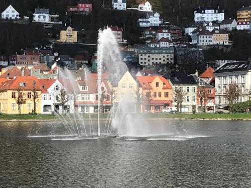 Lake View Apartment In Center Of Bergen - 3 Bedrooms - Bergen