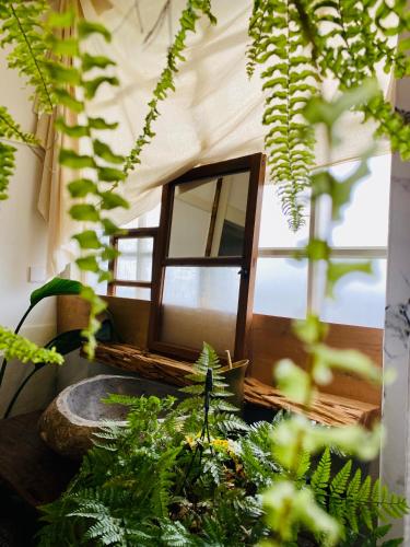 Homeone36 后灣灣Inn - 勝利星村日式老屋包棟 - 다수 구