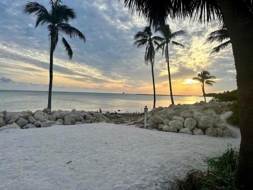 Tropical Paradise Key West - Key West, FL