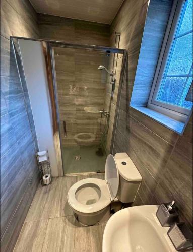 Gatwick Cosy Apartment - Crawley