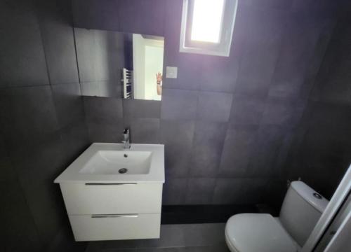 Appartement 2 Pieces Agreable Lumineux Et Calme - Villejuif