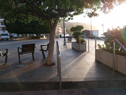 Estudio Parada Baja En Playa Santiago - La Gomera