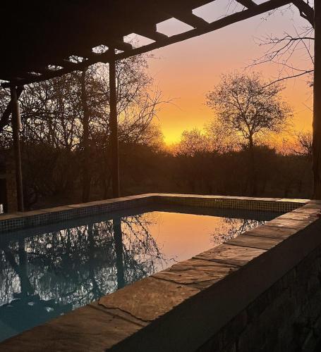 Wabisabi The Wild At Your Doorstep - Marloth Park