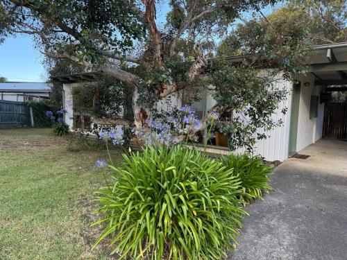 Golden Days Shack In Jan Juc, Great For Surfers, Family-friendly, 4-min Walk To Beach - Torquay