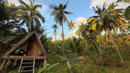 Era's Garden Homestay - Cebu