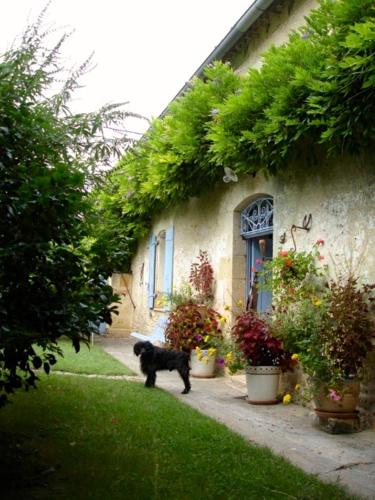 La Petite Provence de Touron - Chambre d'hôtes, 2 touron, 33350 Pujols ...