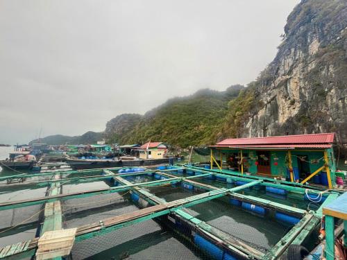 Ben Beo Mapa y ubicación de hoteles en Ben Beo - Cat Ba Island