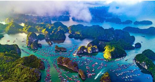 11 Best Hotels in Ben Beo, Cat Ba Island