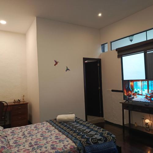 Suite Colibri - El Renacimiento Suites - Cuenca, Ecuador