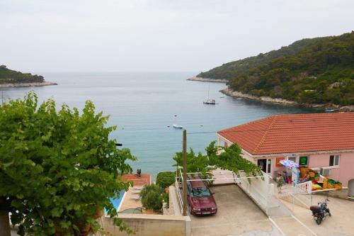 Apartments Jany - Mljet