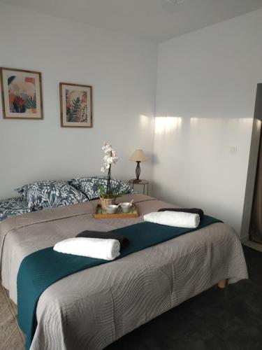 La Vie En Couleurs Chambre D'hotes, Gite - Fréjus