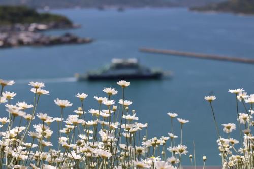 Hub Inn 離れ - Onomichi