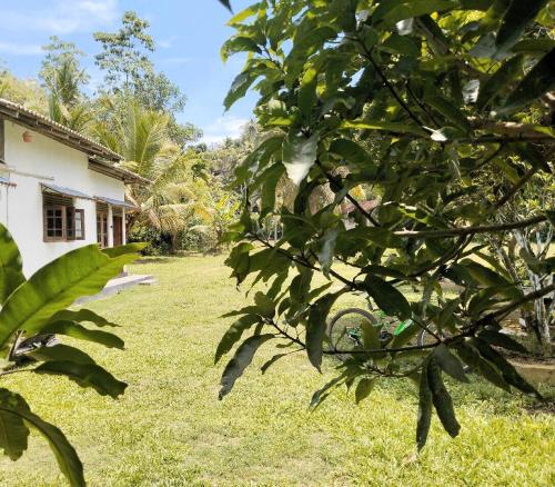 Milk House Mirissa, Entire Home, Authentic Village - Mirissa
