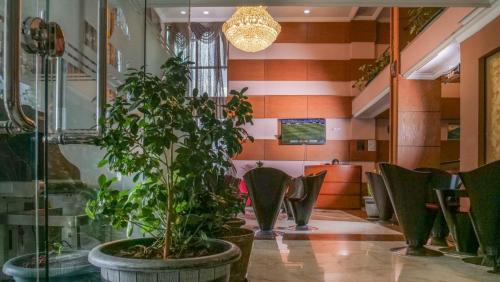 Tirar International Hotel - Addis Ababa