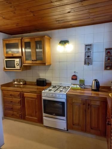 Hermosa Cabana Centrica En San Martin De Los Andes - San Martin de los Andes