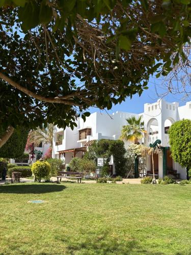 Deltastar - Sharm El-Sheikh