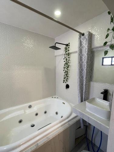 Comoda Habitacion Centrica - Aguascalientes