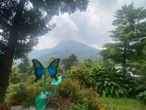 Soul Mountain - 코다구