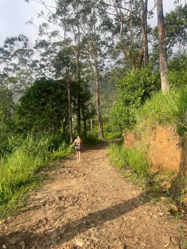 Avons Residence Hanthana in Kandy, Sri Lanka - 40 reviews, prices ...