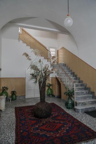 B&b Guida - Altamura