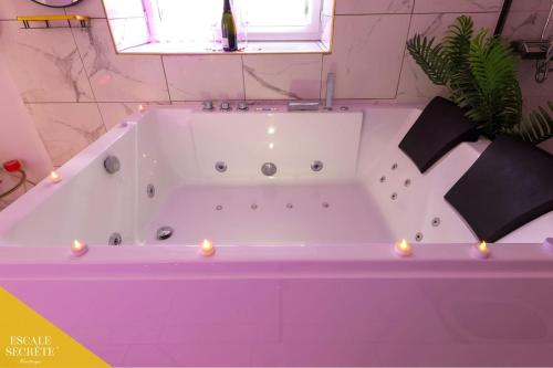 Escale Secrete Montargis Jacuzzi Appart Climatise Parking Gratuit - Montargis