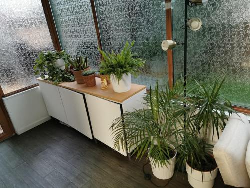 Villa entière proche Aéroport CDG Disney Astérix Parc Expositions