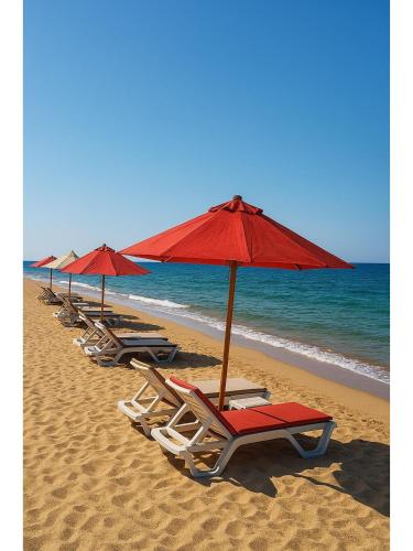 Book a stay where the sea meets luxury at Porto Said Prices, photos ...