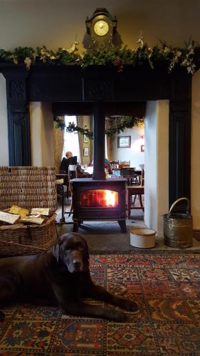 Cuckoo Brow Inn Hotel Review, Lake District, Cumbria, England | Travel