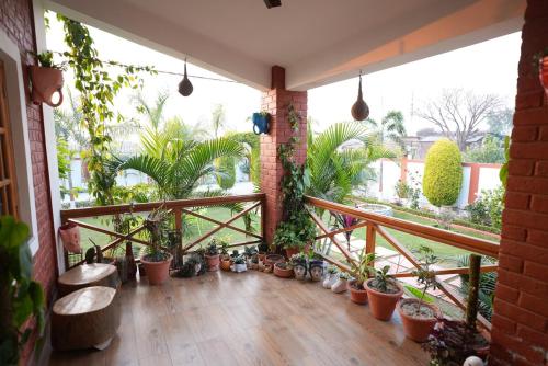 The Maai-kaa - Jim Corbett National Park